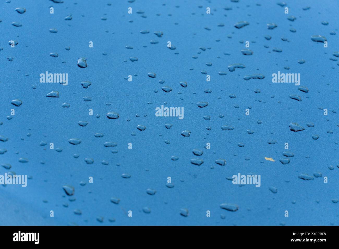 How to paint dew drops hi-res stock photography and images - Alamy