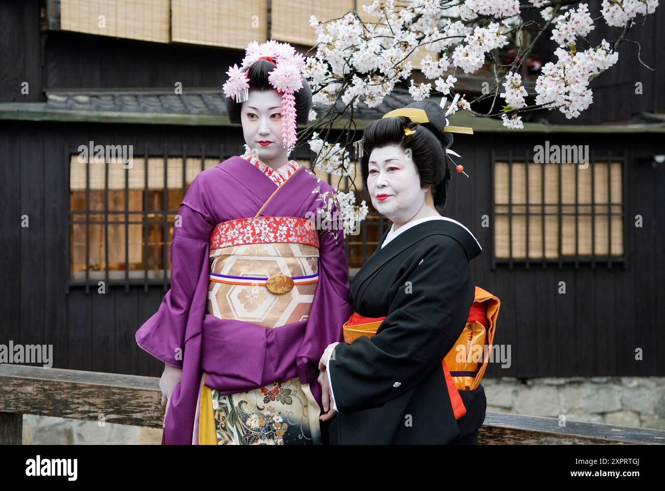 maiko and geisha in Gion district,Geisha dans le quartier de Gion à Kyoto, Japon Stock Photo - Alamy