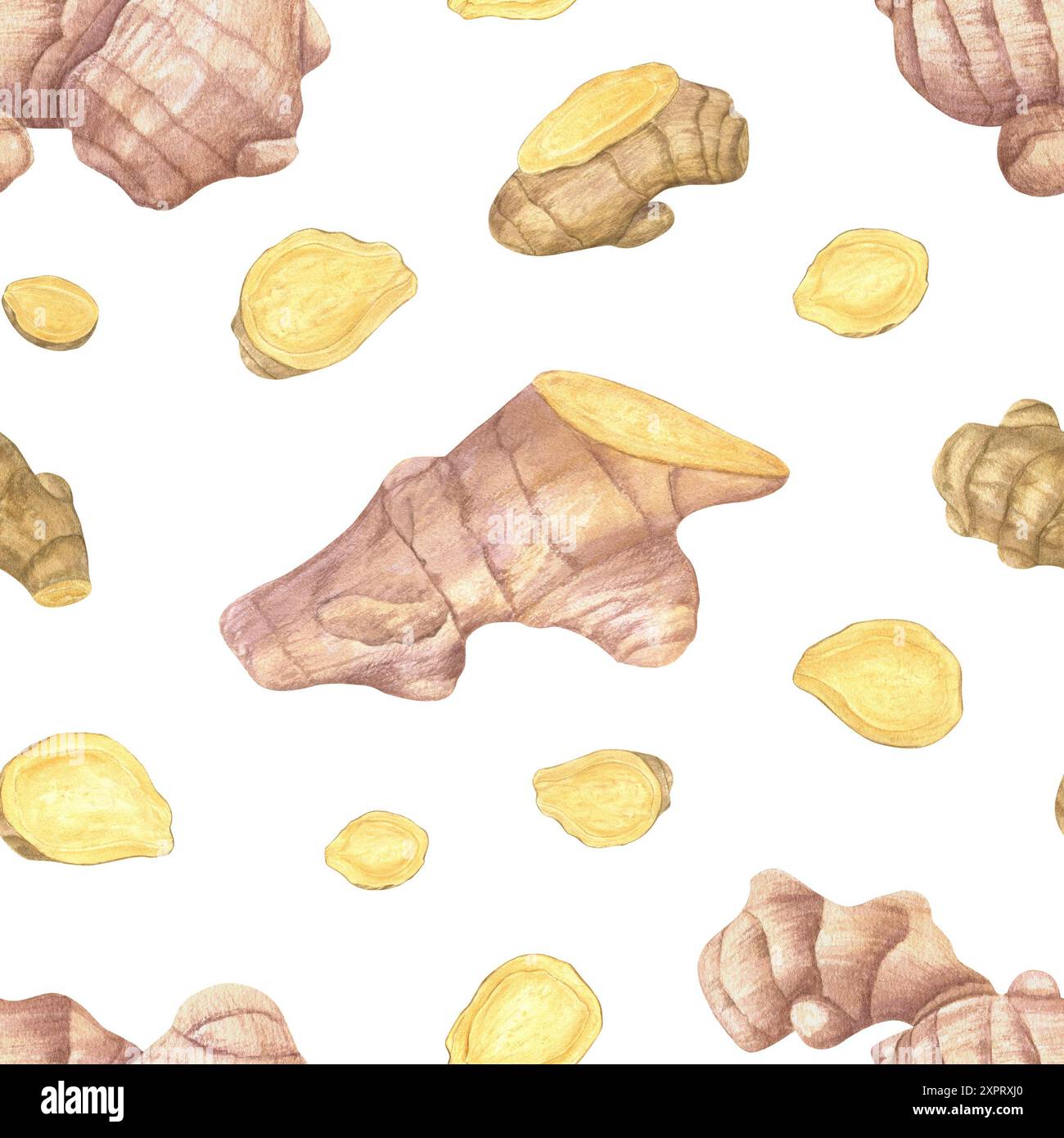 Ginger root. Seamless pattern of whole and slice ginger. Watercolor ...