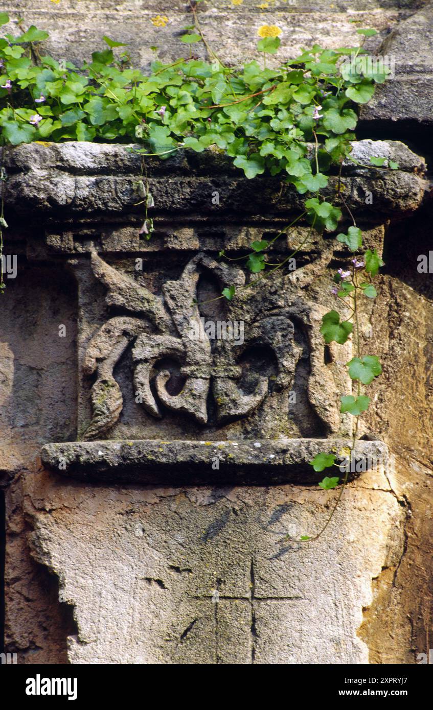 Raixa bunyola hi-res stock photography and images - Alamy