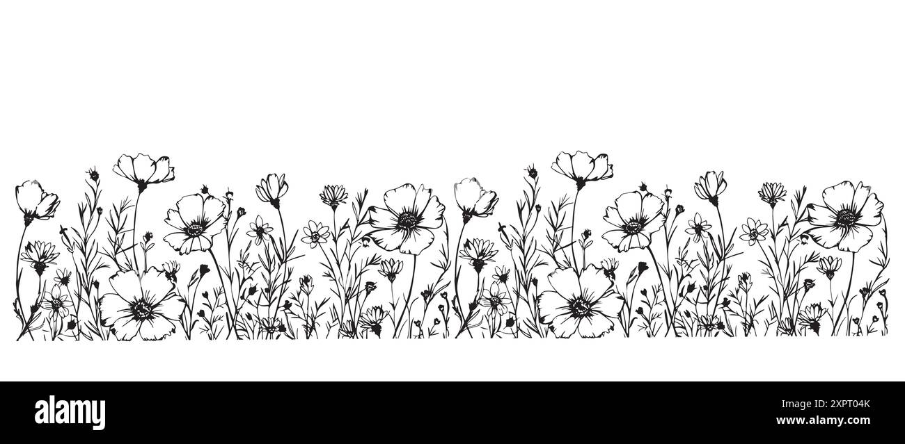 Hand drawn wildflowers set in realistic style. Wildflowers sketch ...
