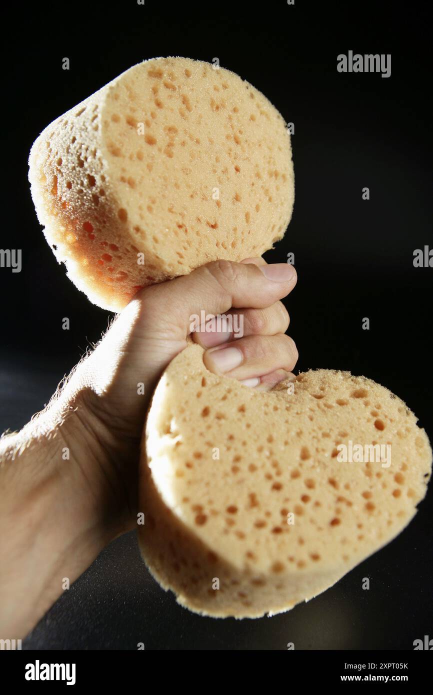 Man hand squeezing a dry sponge Stock Photo - Alamy