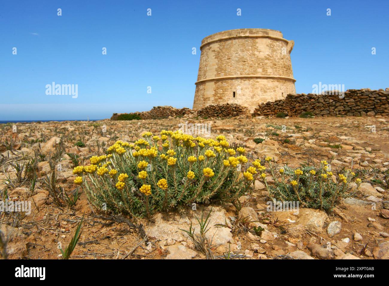 Sa Gavina Tower Formentera Balearic Islands Spain Pitiusas Stock Photo ...