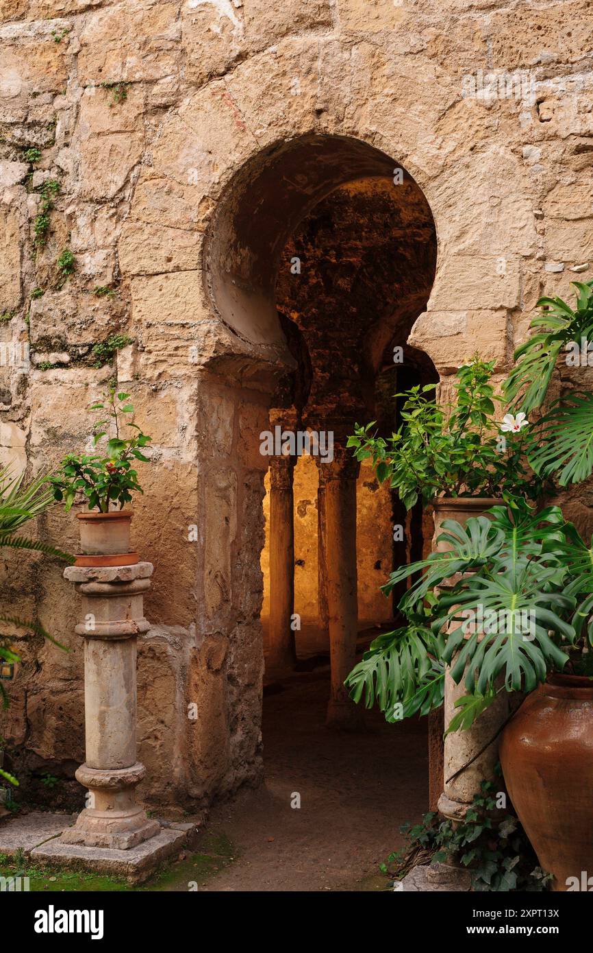 Arab baths, - Banys Arabs - horseshoe arch portal, X century, Palma ...