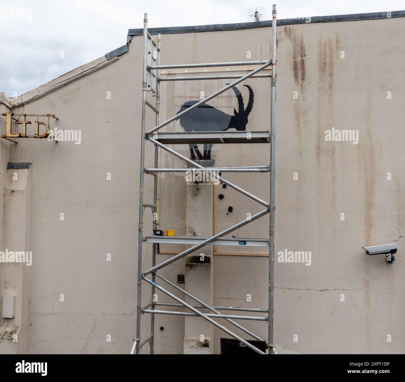 Banksy's mountain goat mural on the side of a commercial building at ...