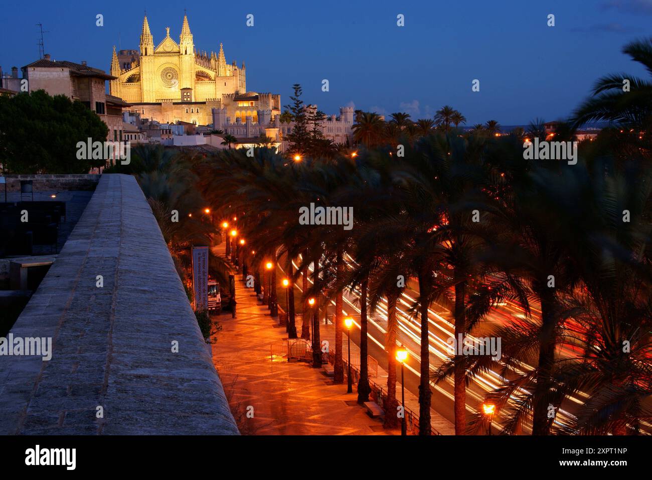 Catedral de Mallorca from the terrace of Baluard Museum, museu dArt ...
