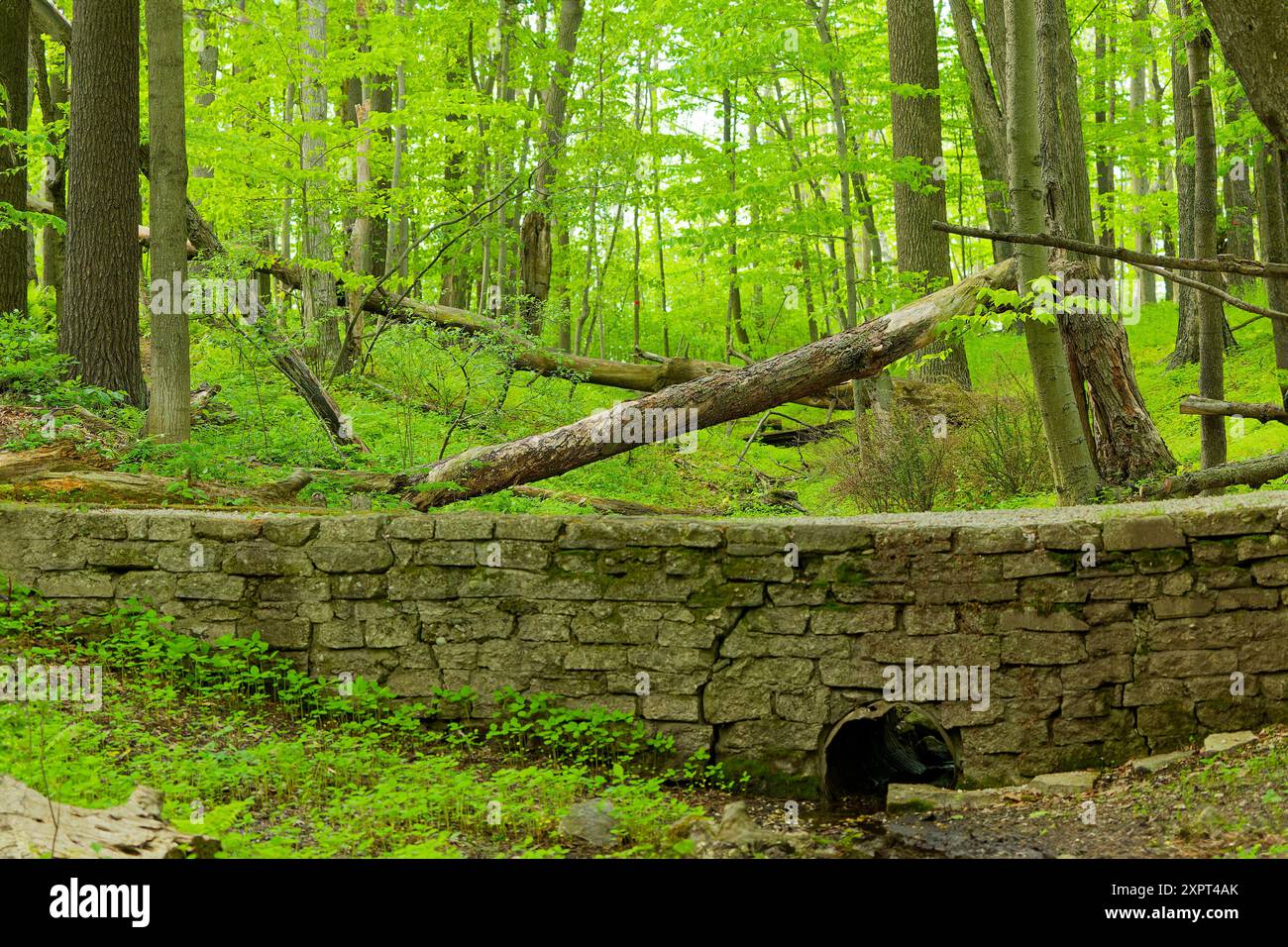 Stone bridge over the valley in the park Stock Photo - Alamy