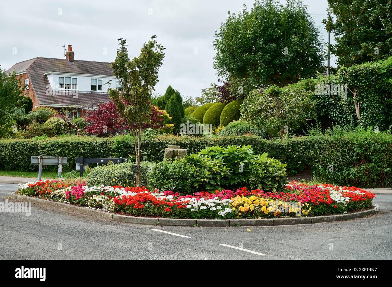 Flower covered roundabout in road in residential area Stock Photo - Alamy