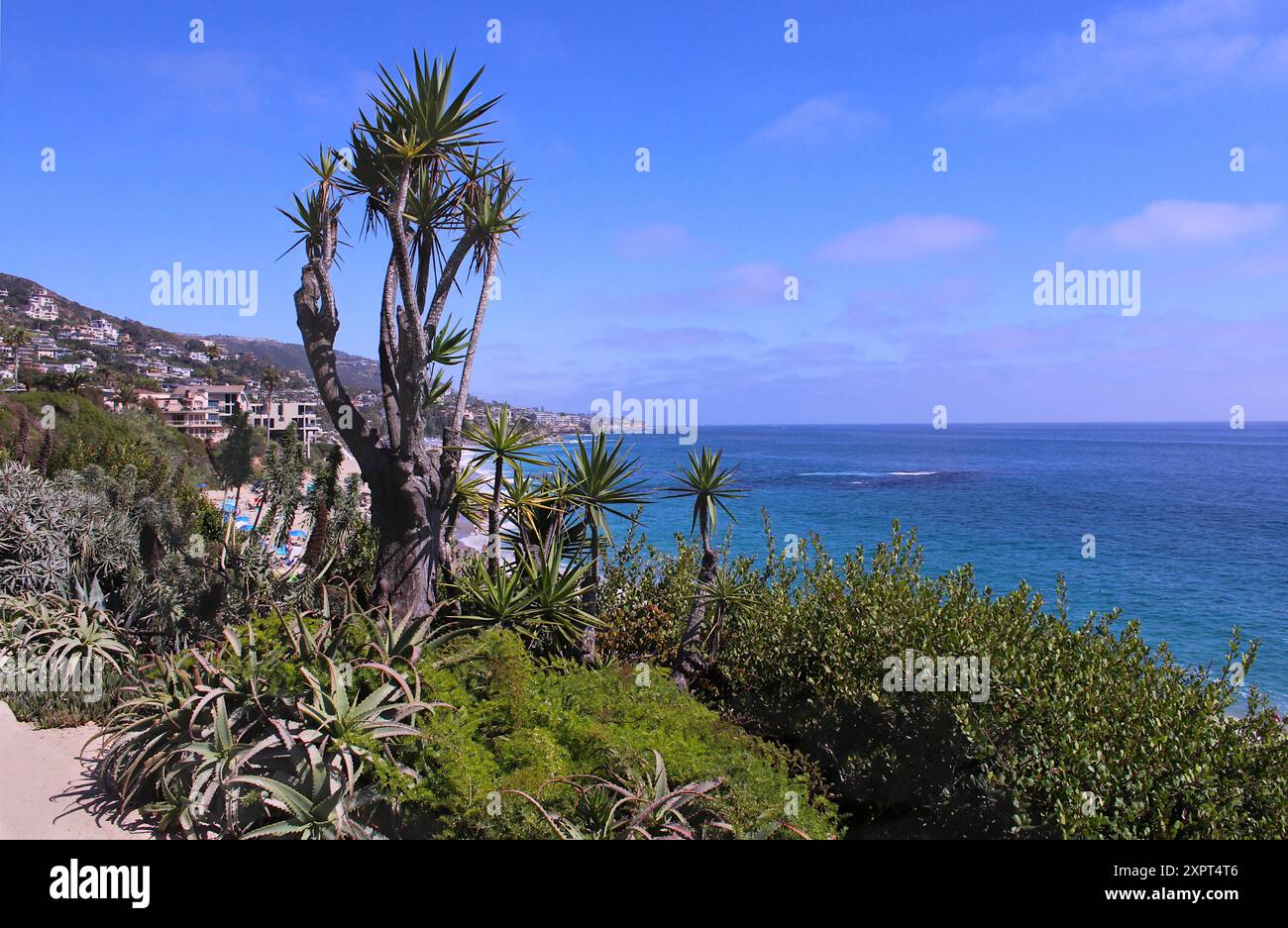 Stunning Beach view scenery in California Stock Photo - Alamy