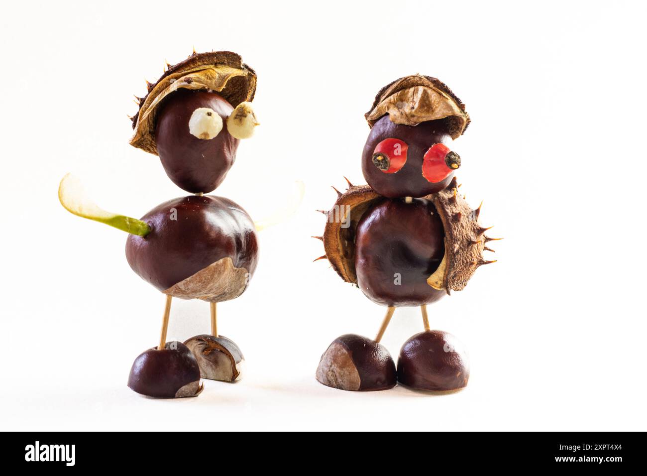 cute figures from autumnal fruits, chestnuts, cones, briar, acorns ...