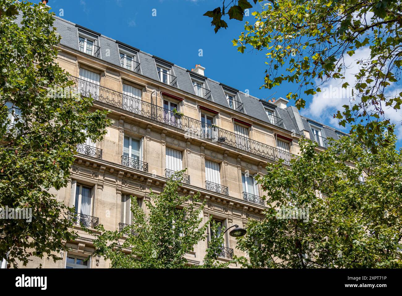 Facades of classic Parisian style apartment buildings along a tree ...