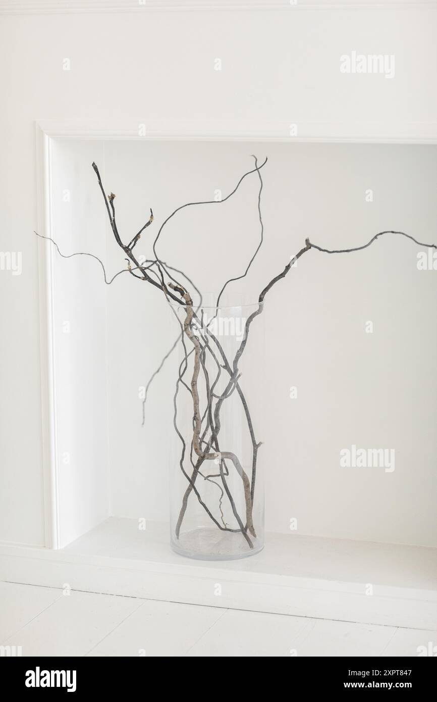Dried natural tree branches in transparent glass vase in white wall ...