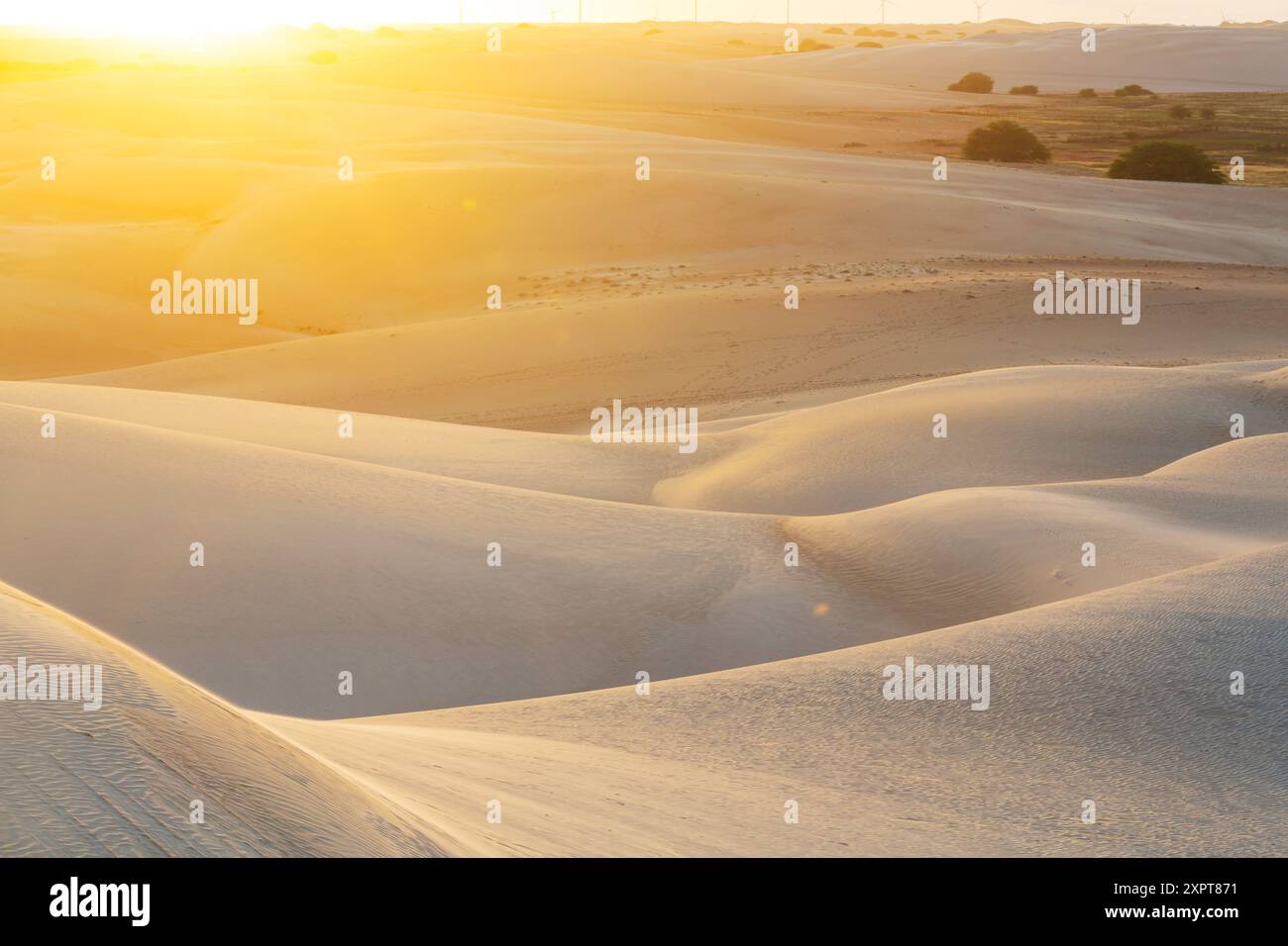 Unspoiled sand dunes in the remote desert Stock Photo - Alamy