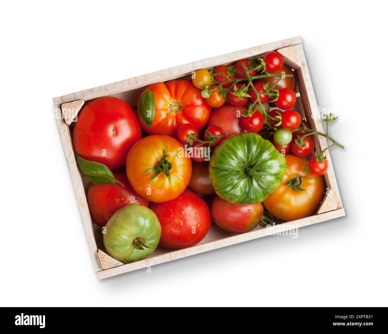Fresh garden colorful tomatoes. Top view isolated on white background ...