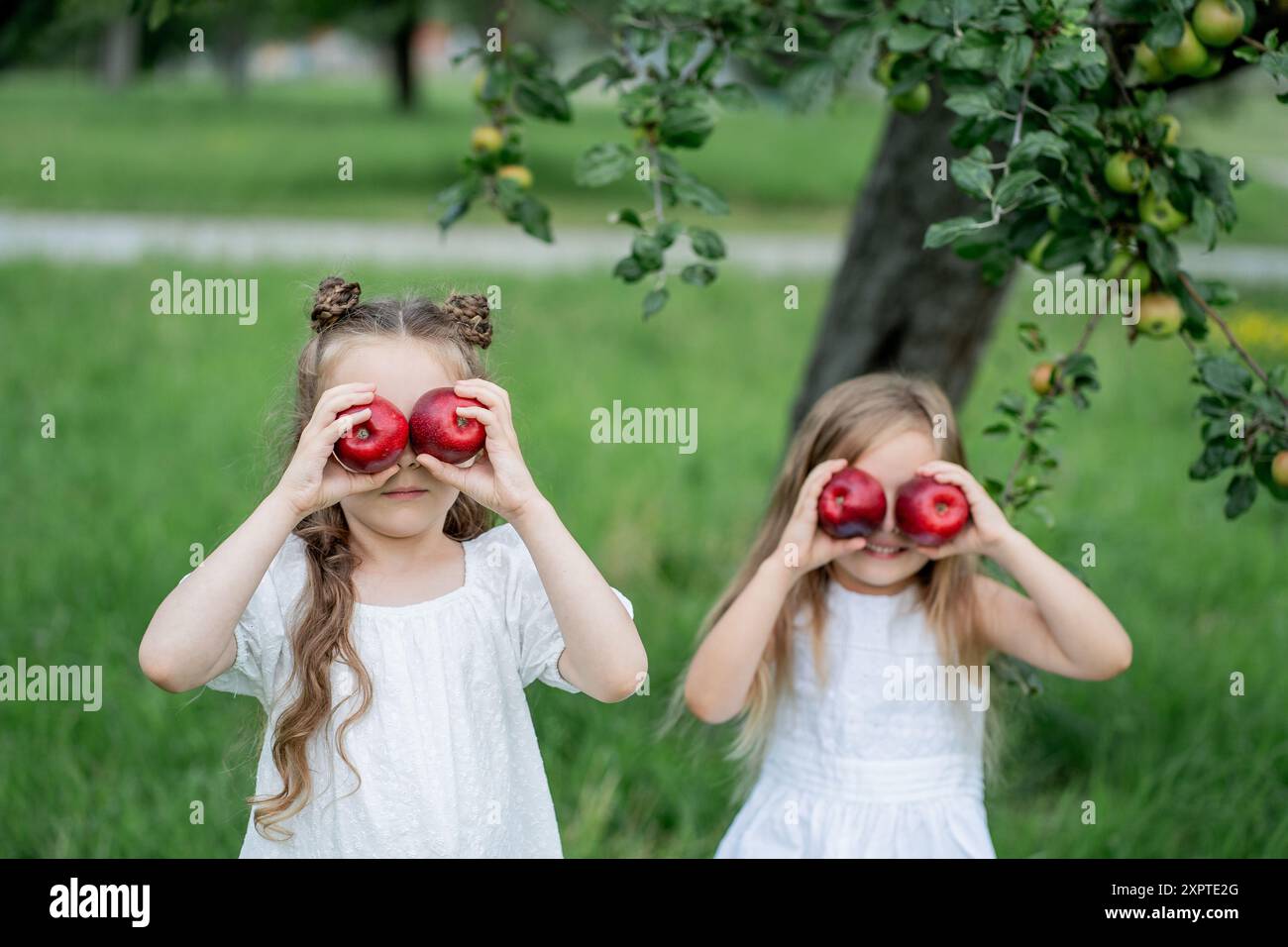 Cute two little girl friends are smiling and picking apples in basket ...