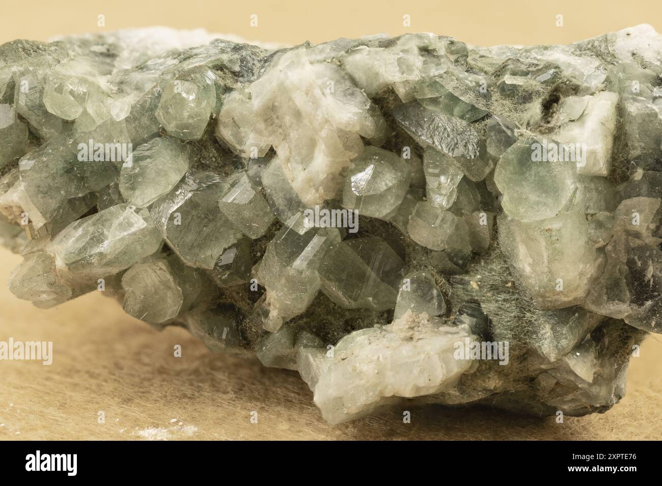 Specimen showcases unique textures hi-res stock photography and images ...