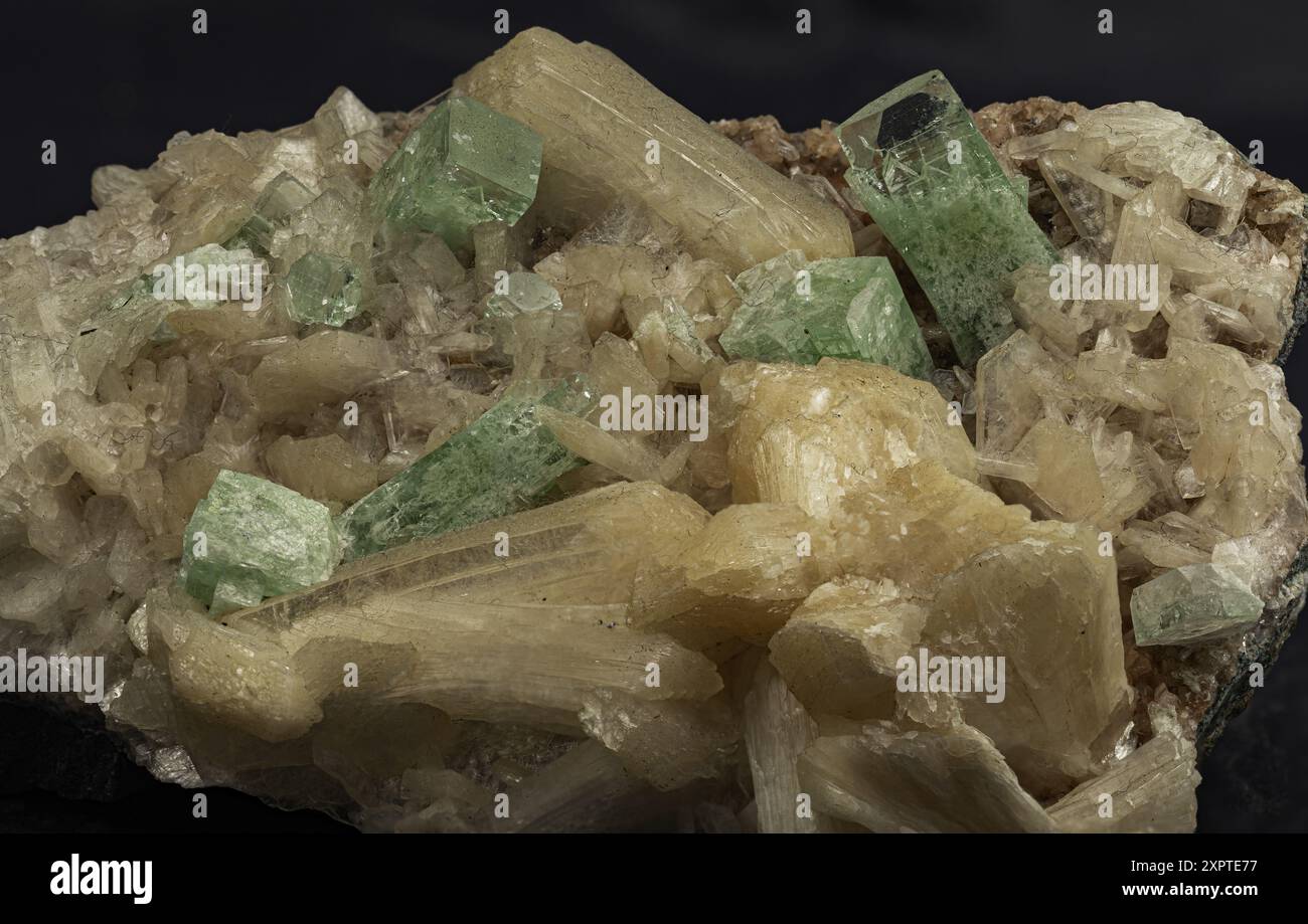 Striking composition of apophyllite and stilbite crystals, highlighting ...