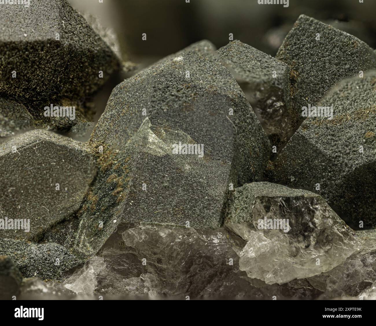 Prase quartz photos hi-res stock photography and images - Alamy