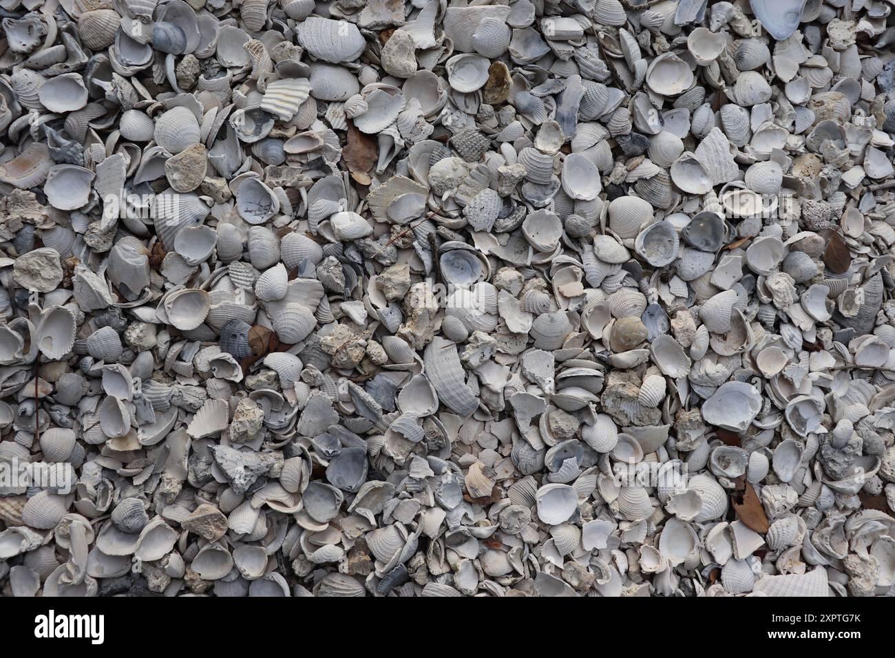 Coastalbackground hi-res stock photography and images - Alamy