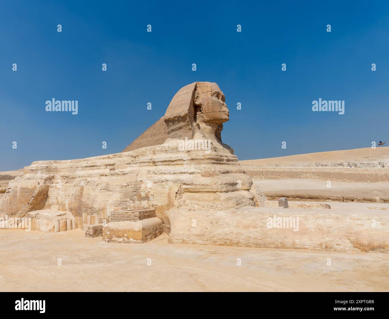 The great Sphinx of Giza sculpted in limestone rock in El Cairo Egypt ...