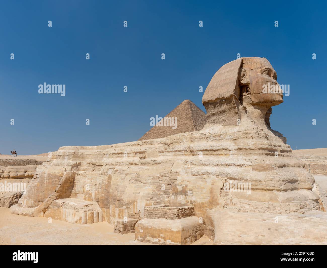The great Sphinx of Giza sculpted in limestone rock in El Cairo Egypt ...