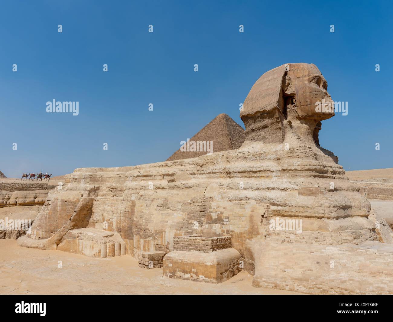 Panoramic view of the great Sphinx of Giza sculpted in limestone rock ...