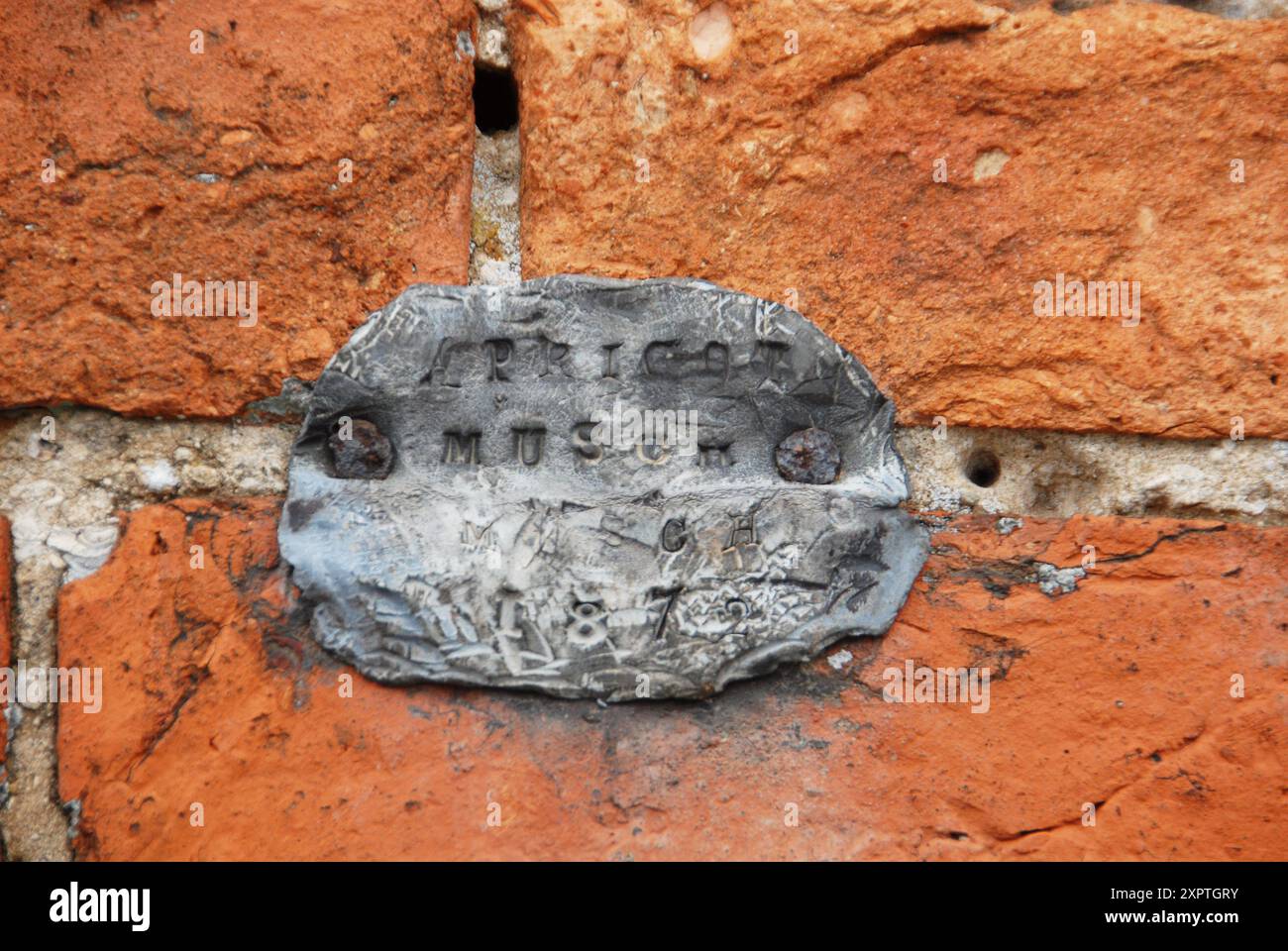Lead tree label hi-res stock photography and images - Alamy