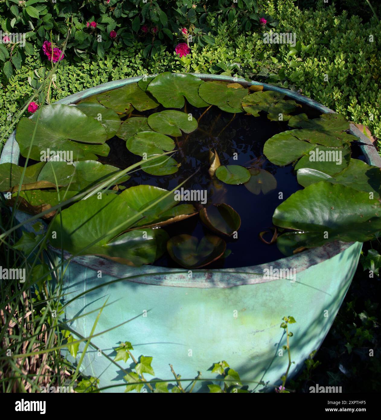 Copper cauldron water feature with water lilies Stock Photo - Alamy