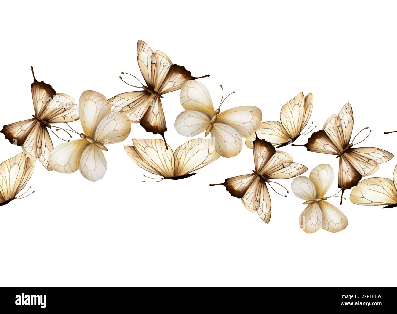 Magic insect Cut Out Stock Images & Pictures - Alamy