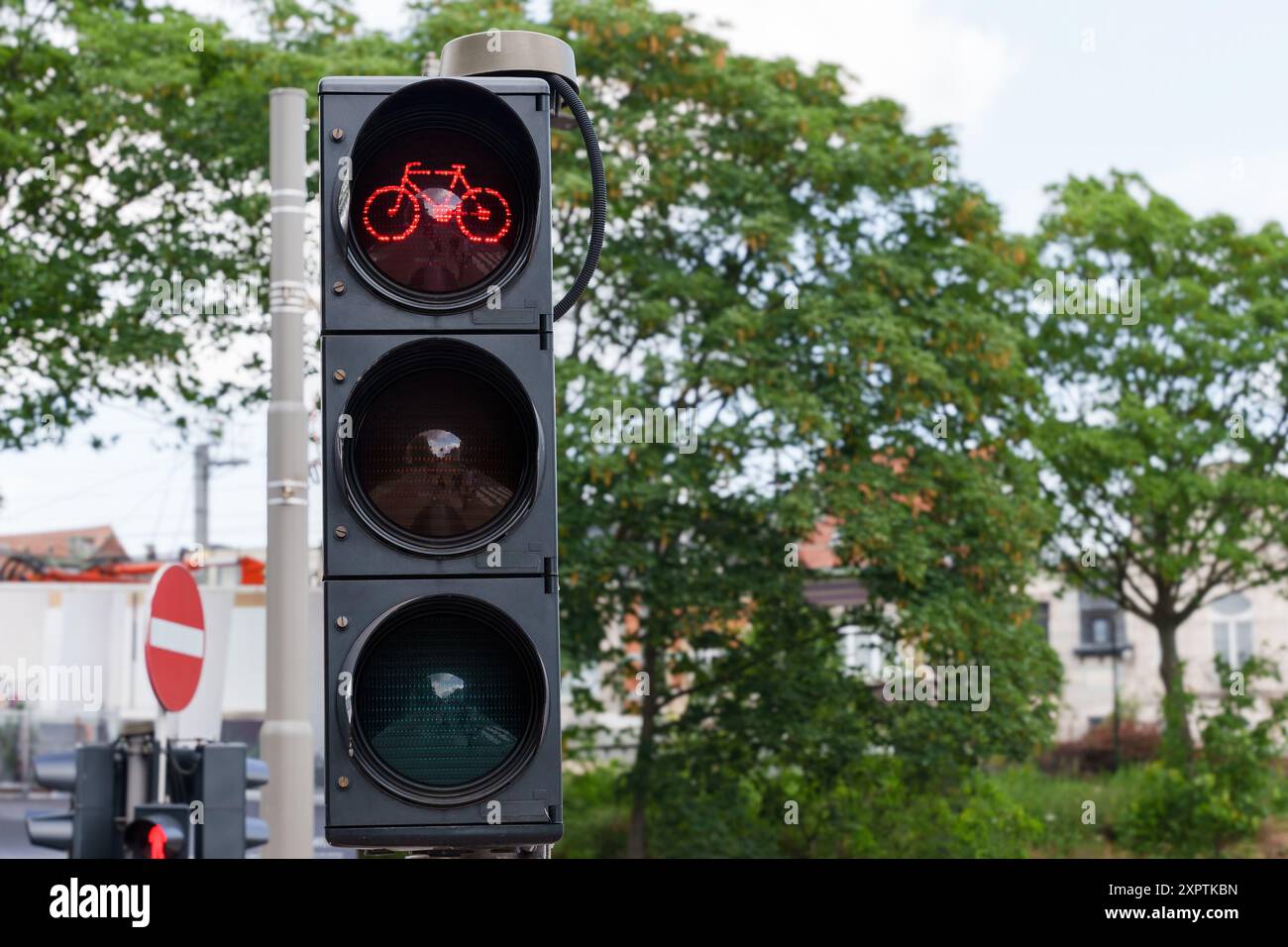 Red traffic light for bicycles against a backdrop of trees and urban ...