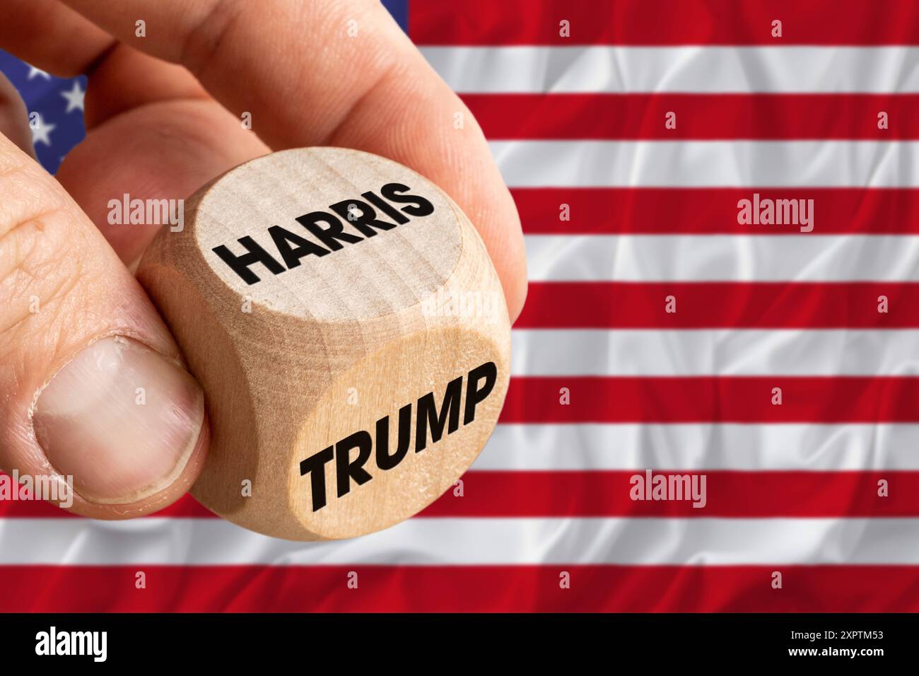 7 August 2024: Hand holding dice labeled Harris and Trump. Symbolic ...