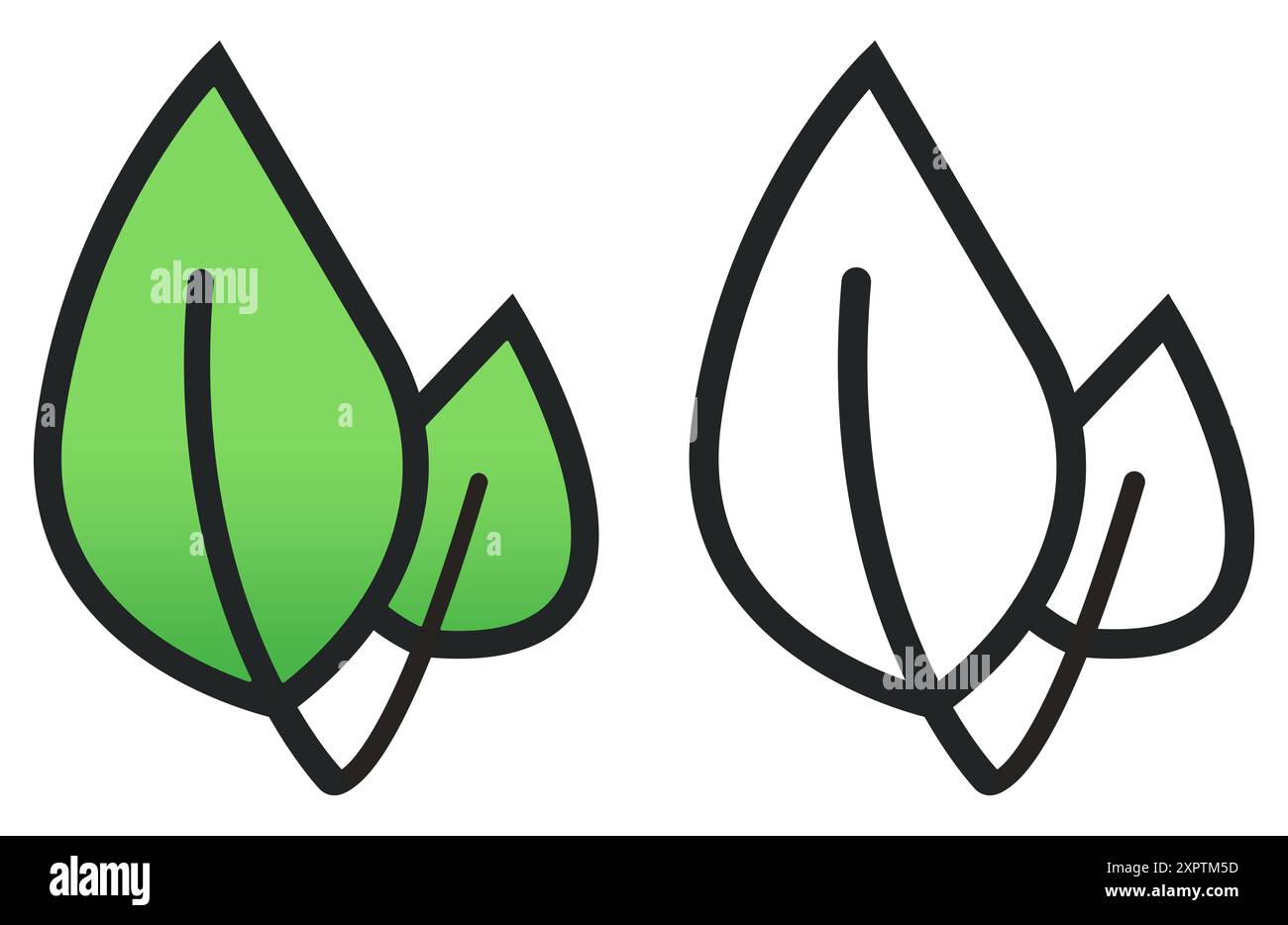 Two autumn leaves illustration hi-res stock photography and images - Alamy