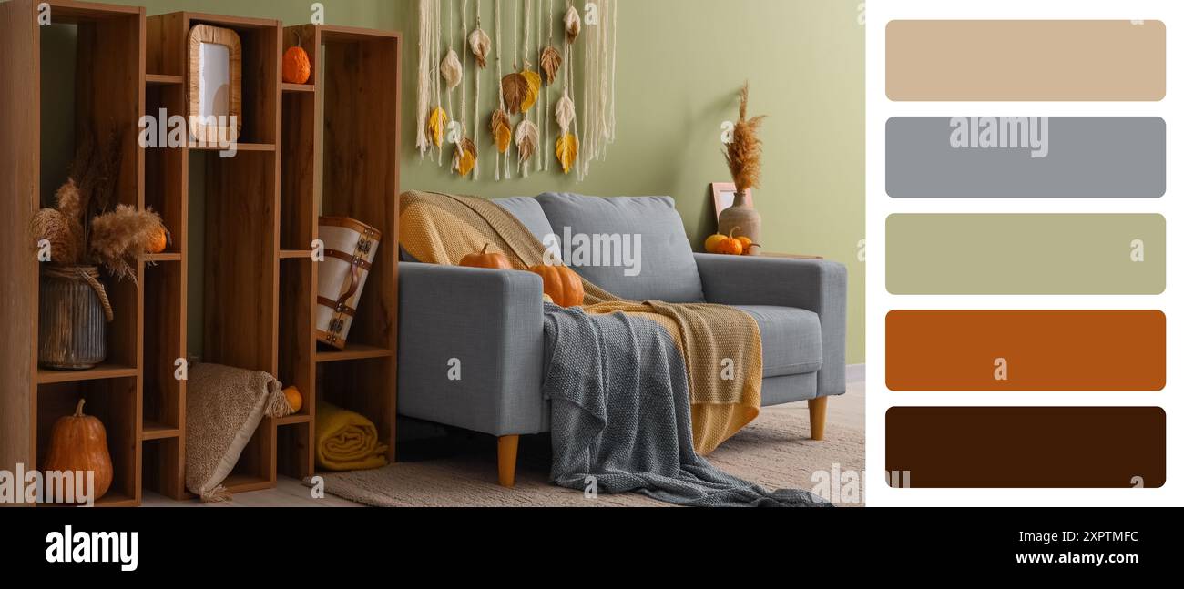 Interior of cozy living room with sofa, rack and pumpkins. Different ...