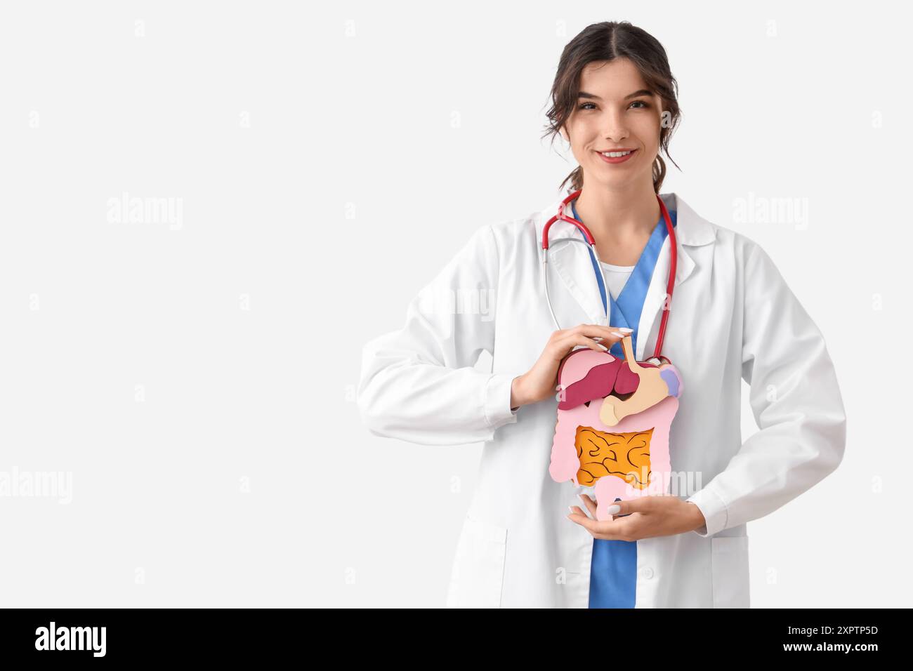 Female doctor with paper digestive system on white background Stock ...