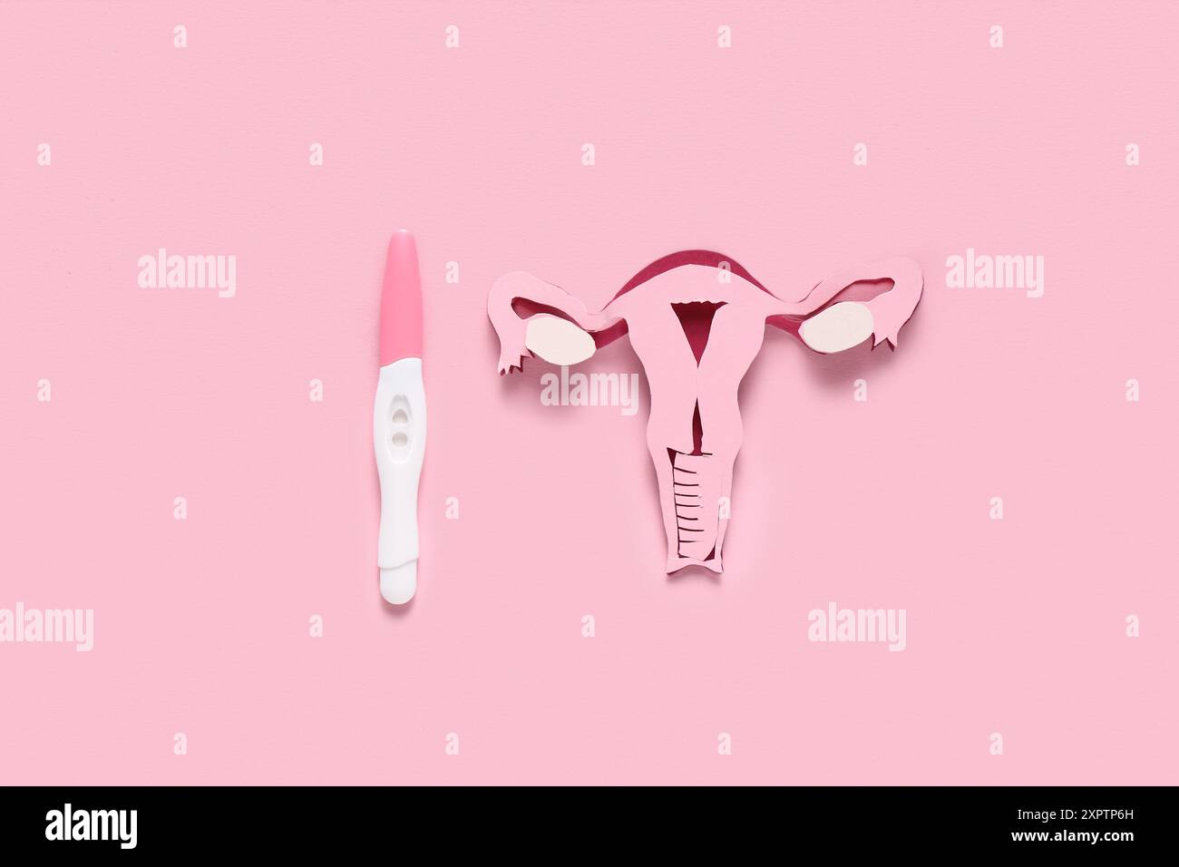 Paper uterus with pregnancy test on pink background Stock Photo - Alamy