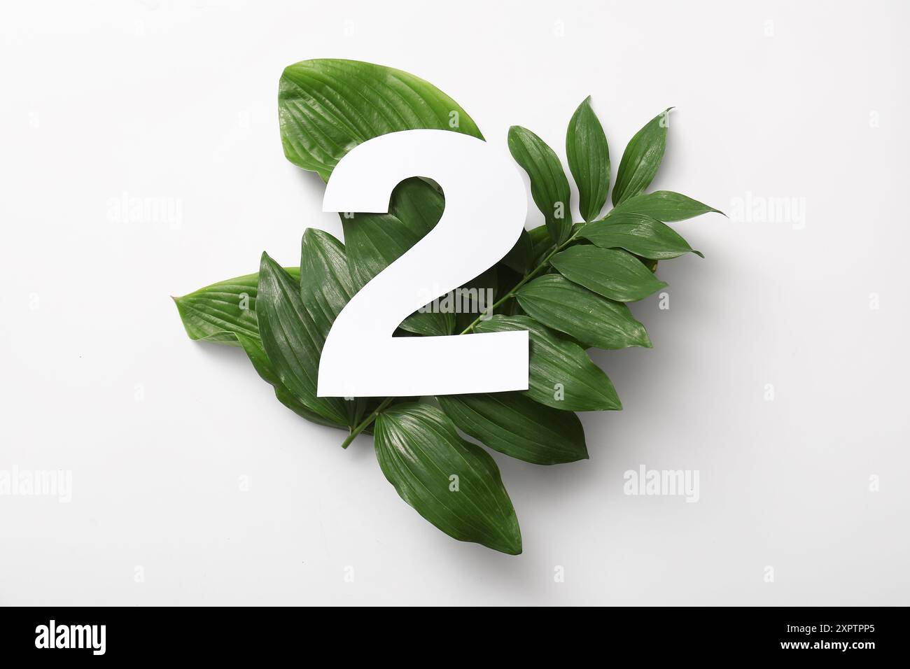 Green leaves with paper number two on white background. Top view Stock ...
