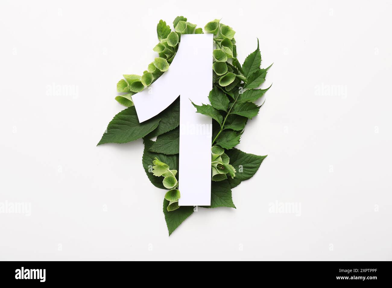 Green leaves with paper number one on white background. Top view Stock ...