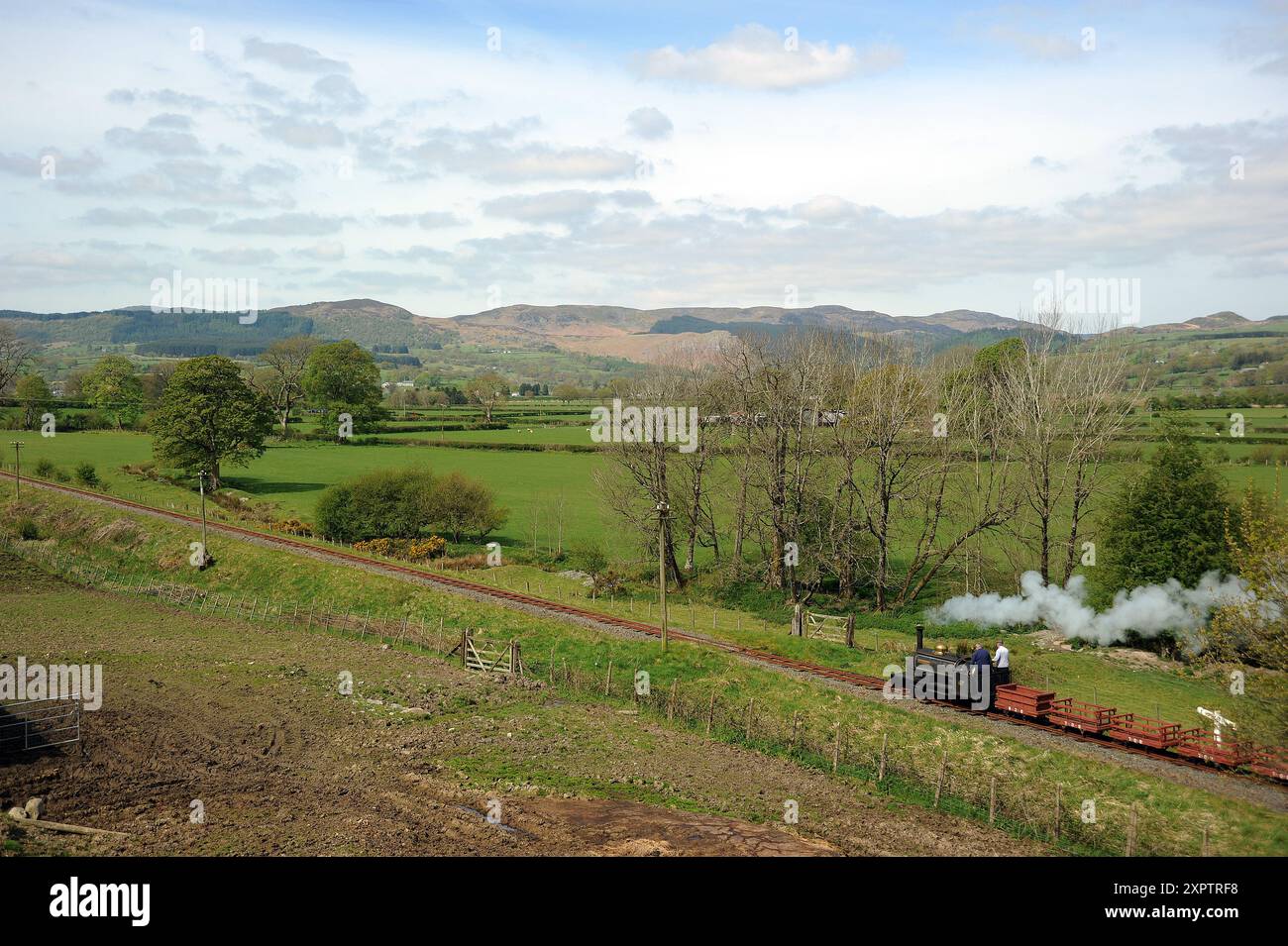 "Winifred" near Ysgubor Isaf with a train of slate wagons Stock Photo ...