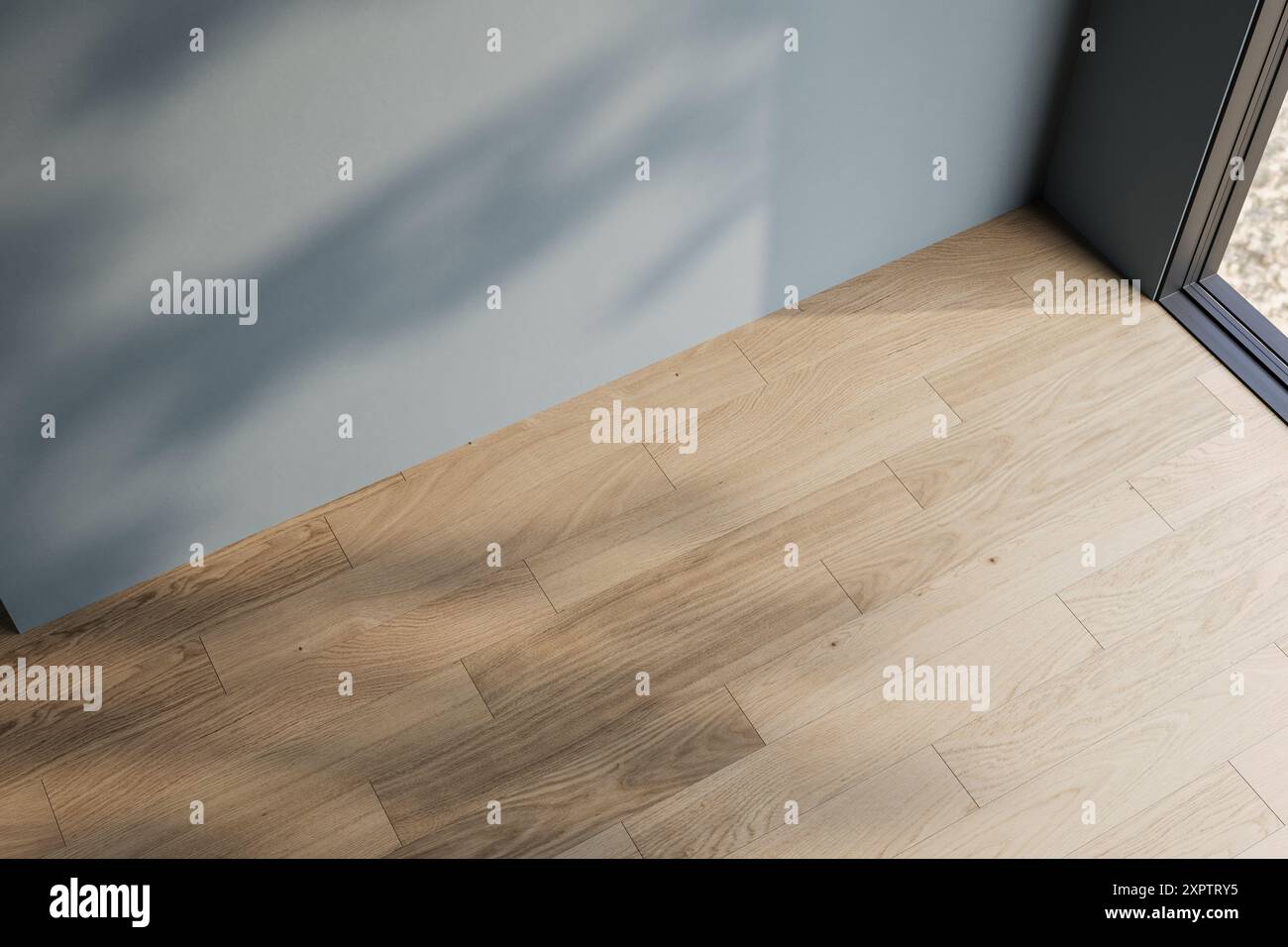 bird eye view of empty living room with blue tones wall, room with ...