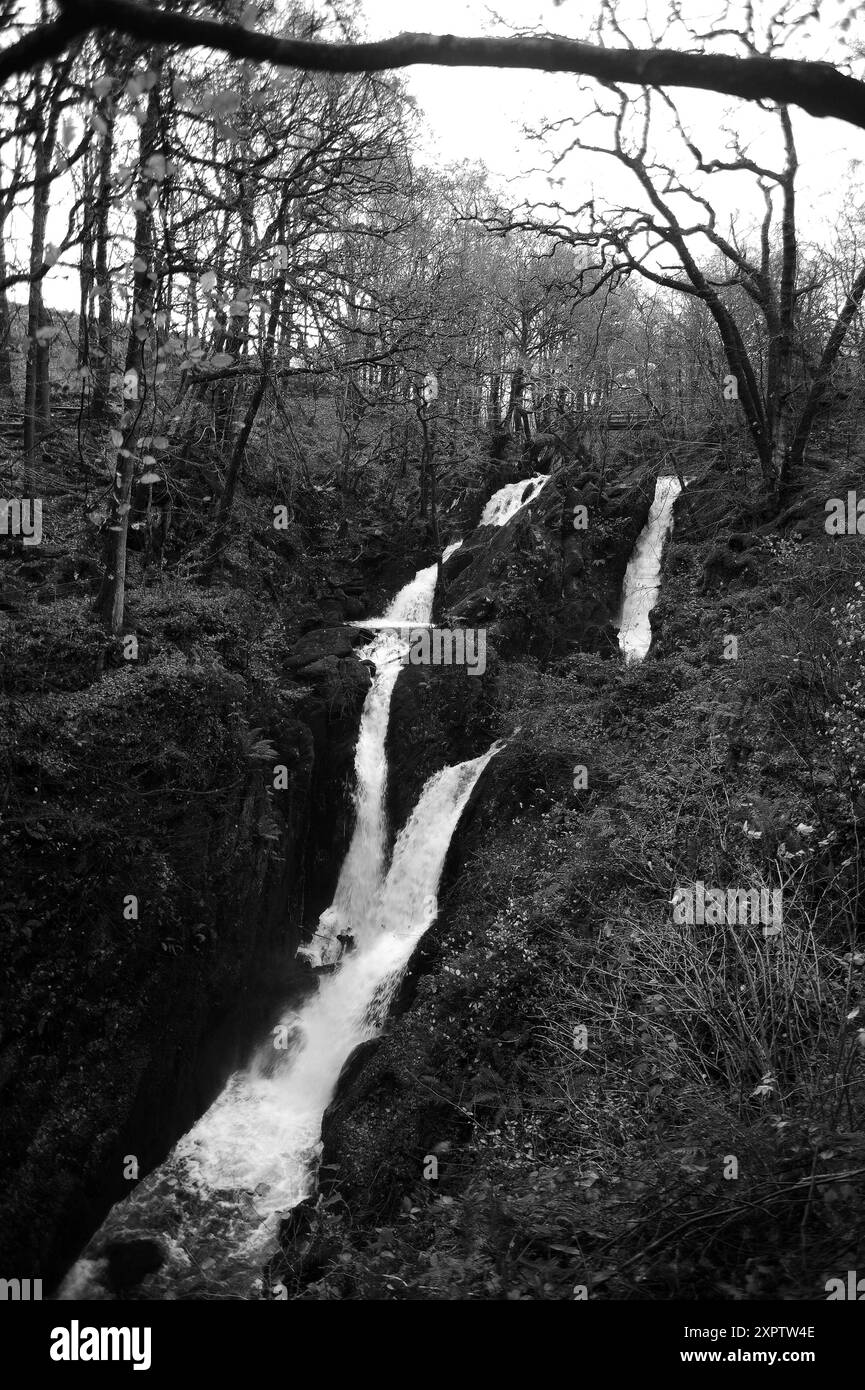 Stock Ghyll Force, Ambleside Stock Photo - Alamy