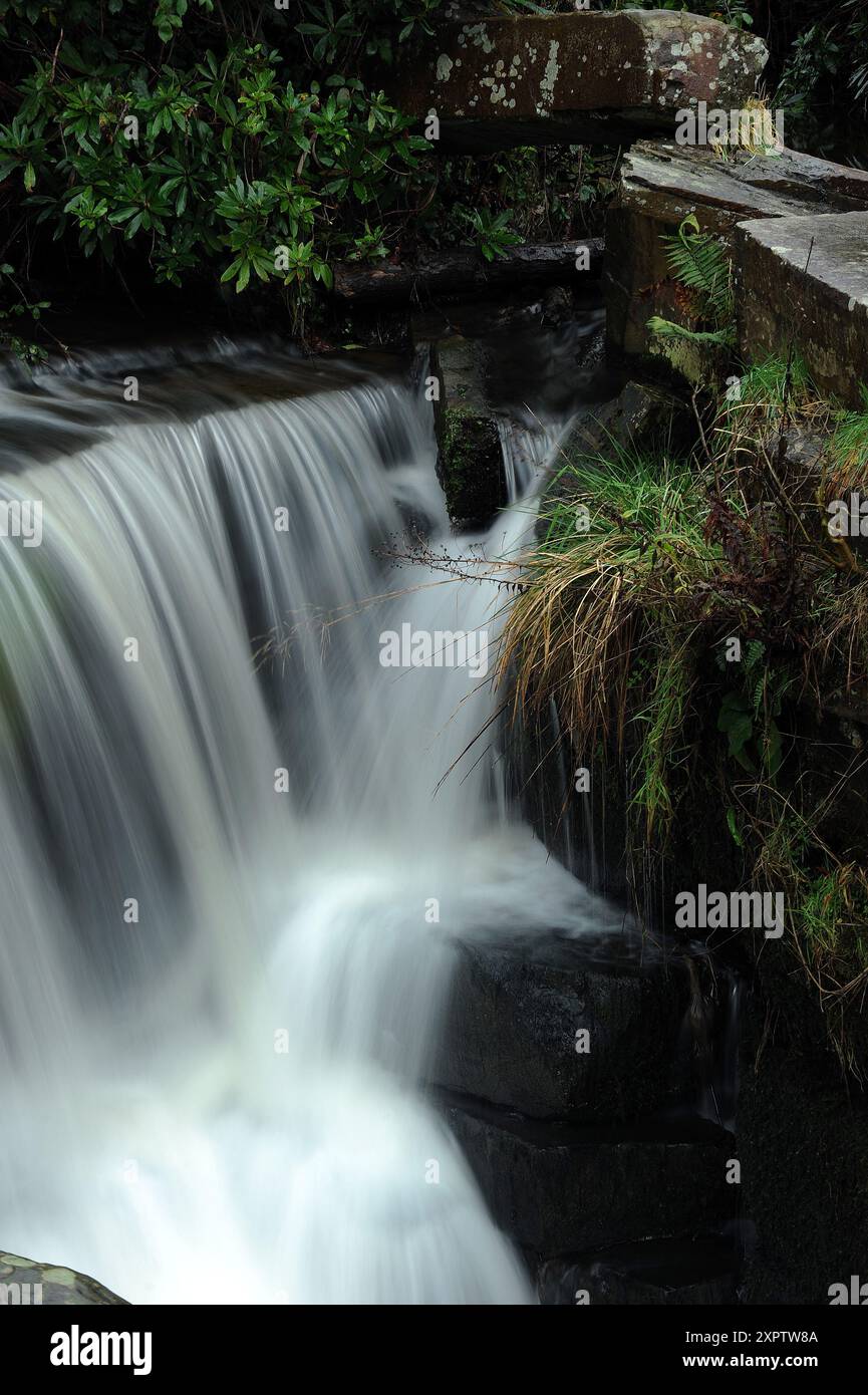 The man-made Penllergaer Waterfall. A drop of around 10 feet ...