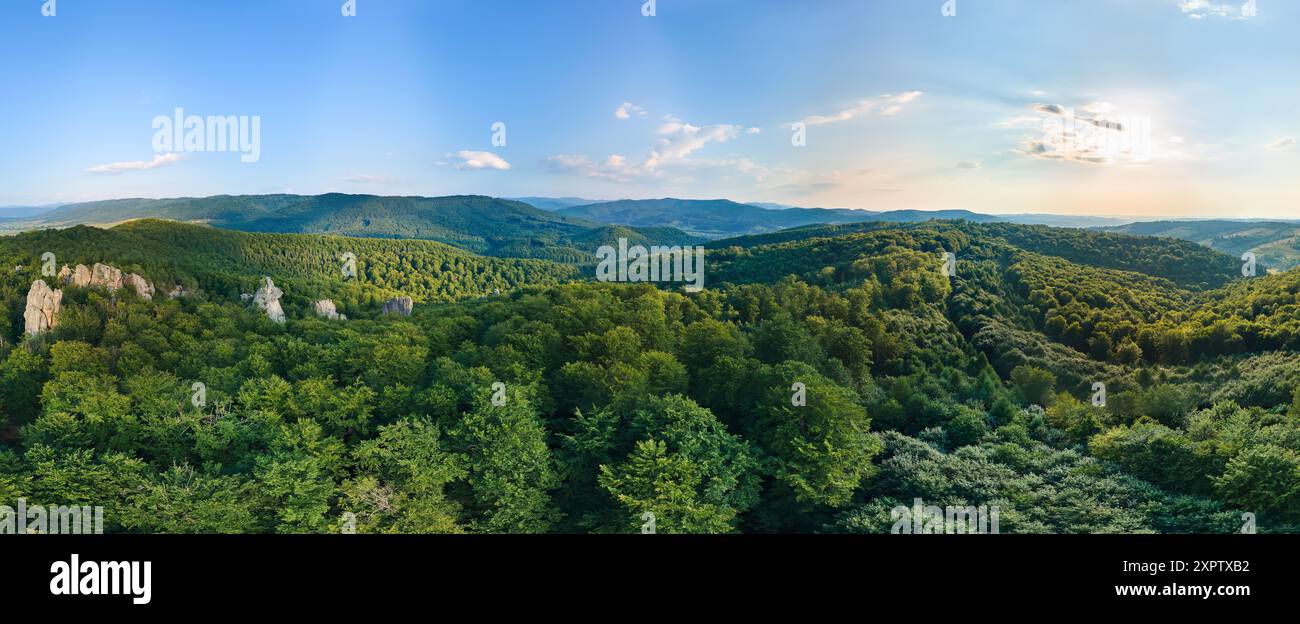 Aerial view of mountain hills covered with dense green lush woods on ...