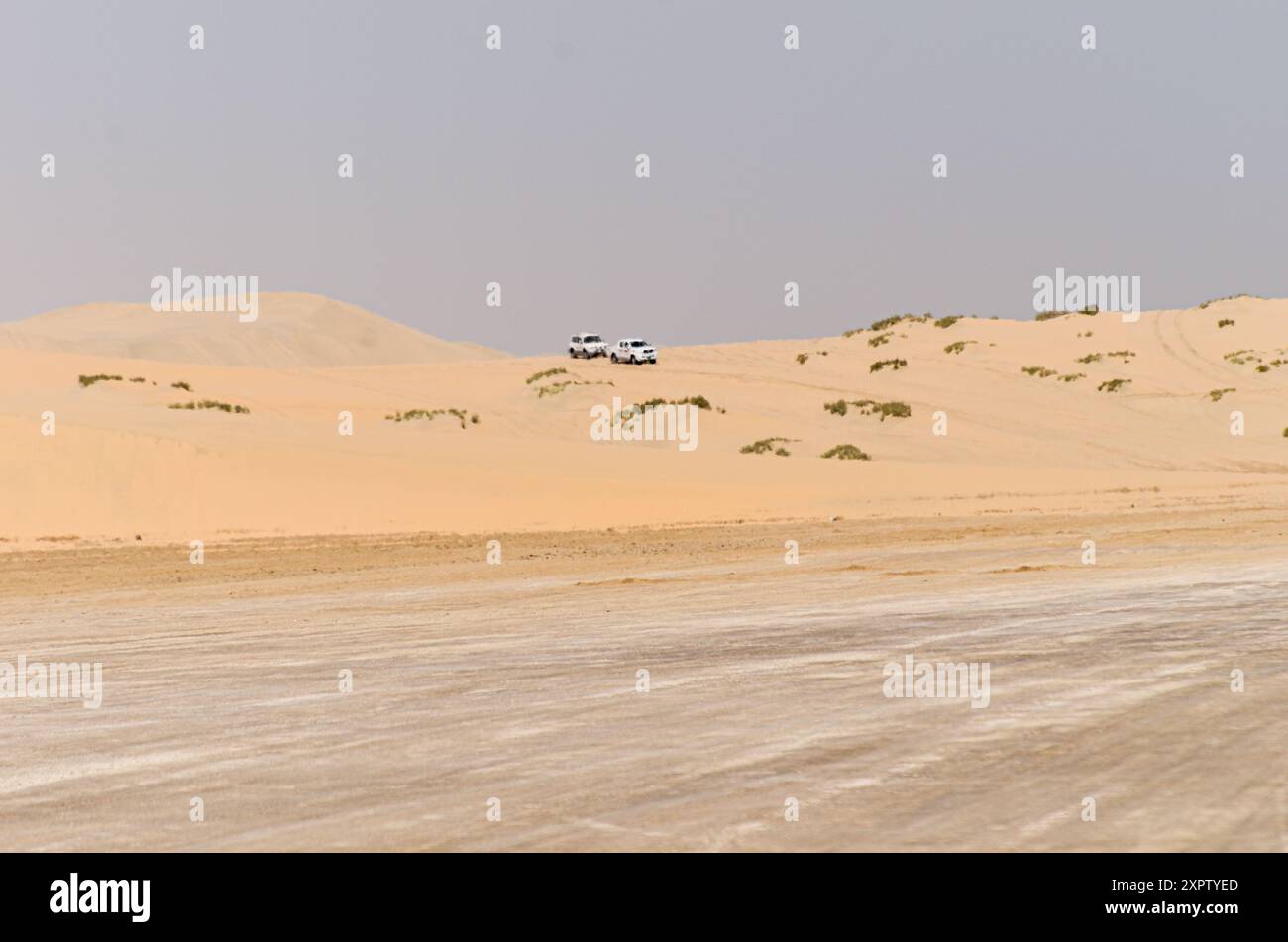 Desert safari in Qatar- sand dunes bashing Stock Photo - Alamy