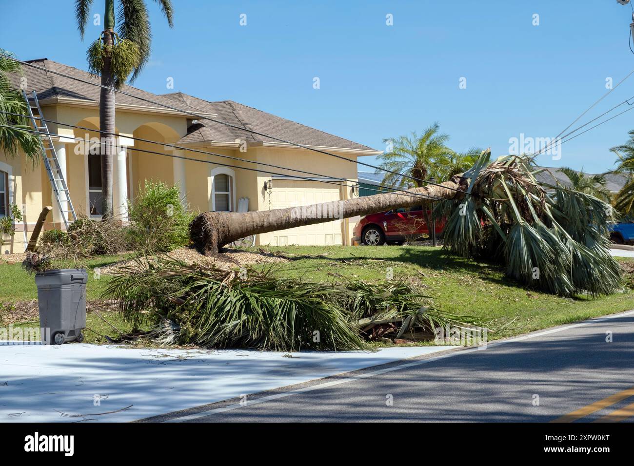 Damaged power lines after hurricane wind broke tree limbs in Florida ...