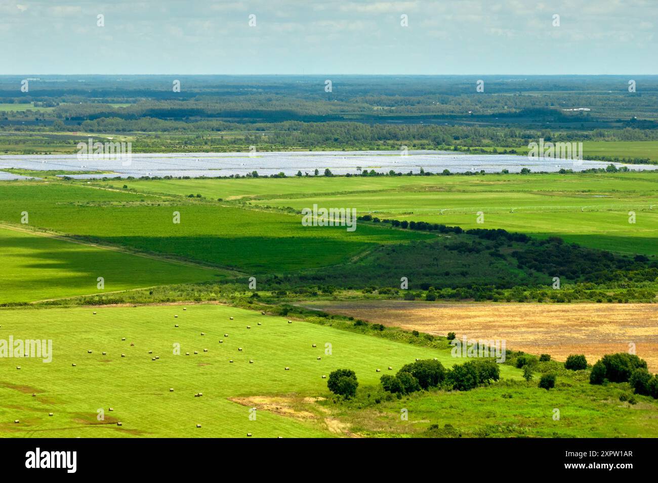 Green agricultural field with growing crops in summer season. Farming ...