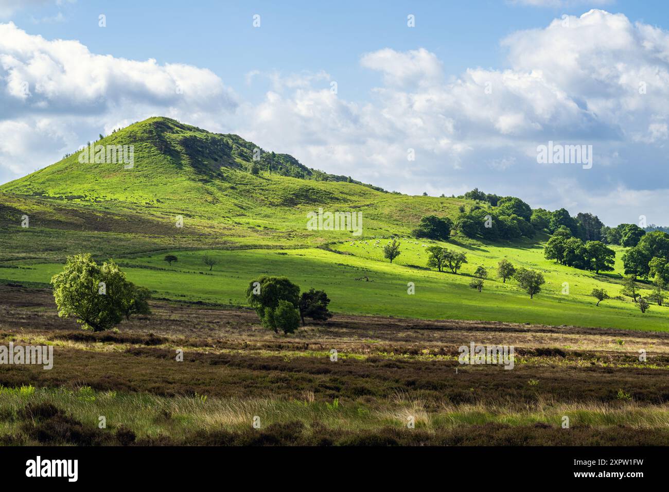 Farms in North York Moors National Park, Yorkshire, England Stock Photo ...