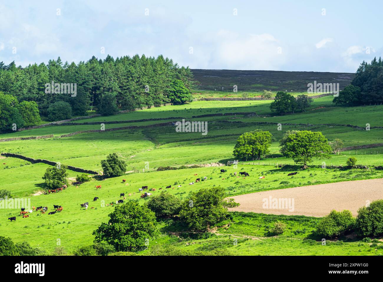 Farms in North York Moors National Park, Yorkshire, England Stock Photo ...