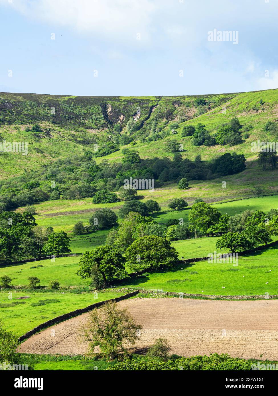 Farms in North York Moors National Park, Yorkshire, England Stock Photo ...