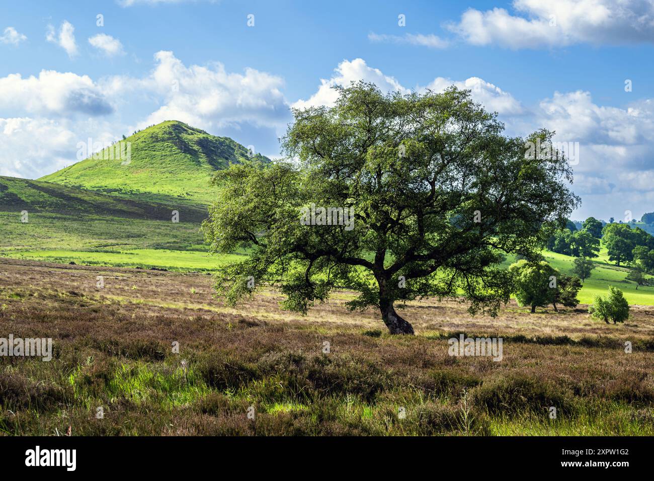 Farms in North York Moors National Park, Yorkshire, England Stock Photo ...