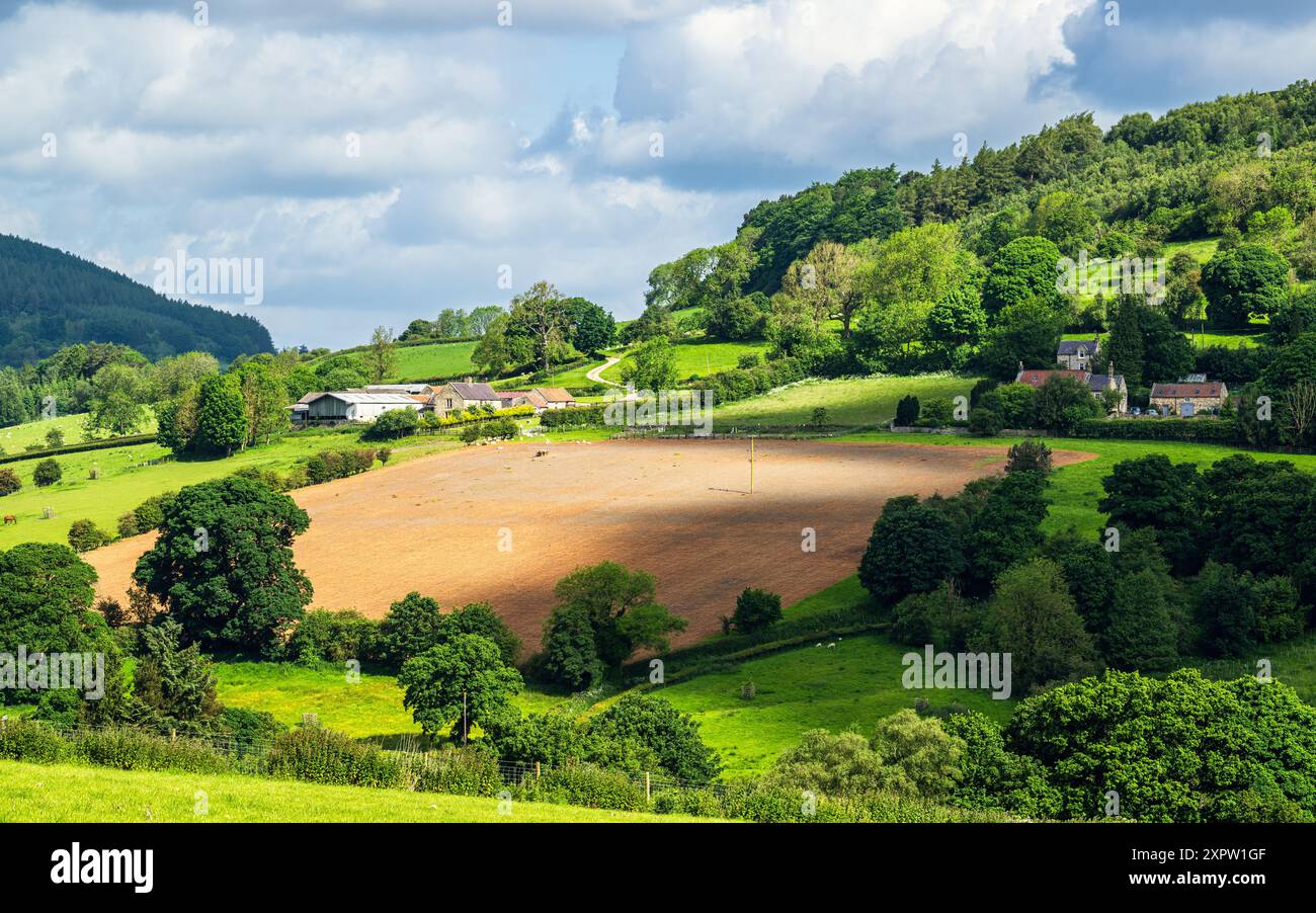 Farms in North York Moors National Park, Yorkshire, England Stock Photo ...